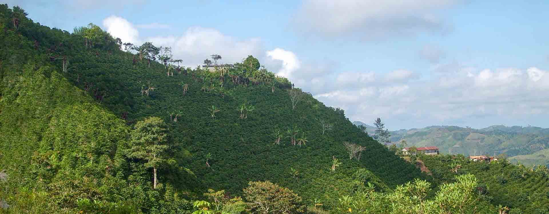 image?url=https:%2F%2Fla-leyenda.com%2Fext-images%2Fcolombian%2Fhome ...